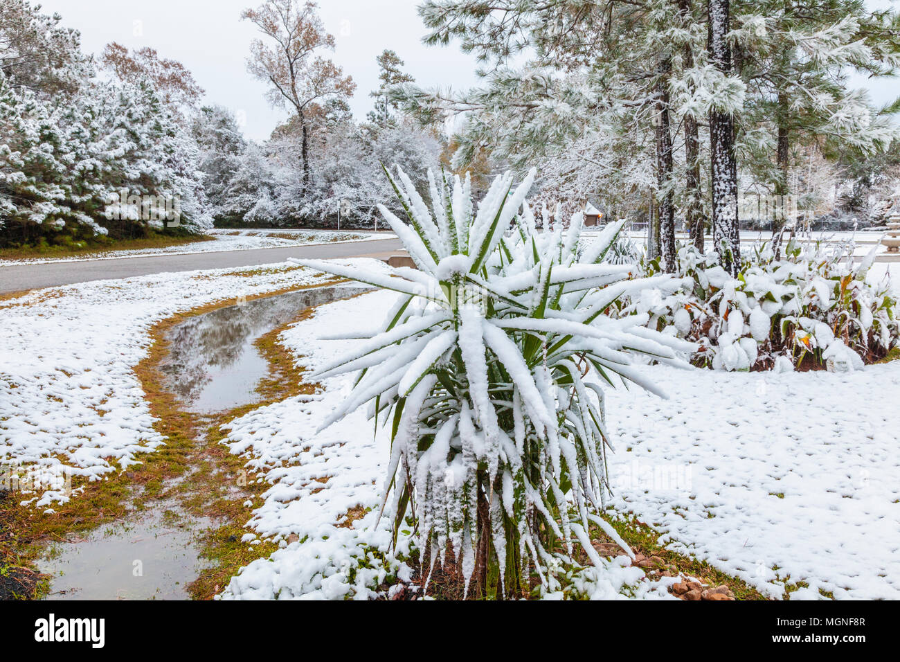 Unusual spring weather hi-res stock photography and images - Alamy