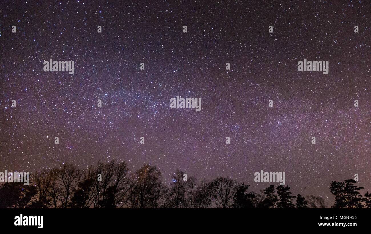 Night starry sky with milky way over forest in springtime Stock Photo ...