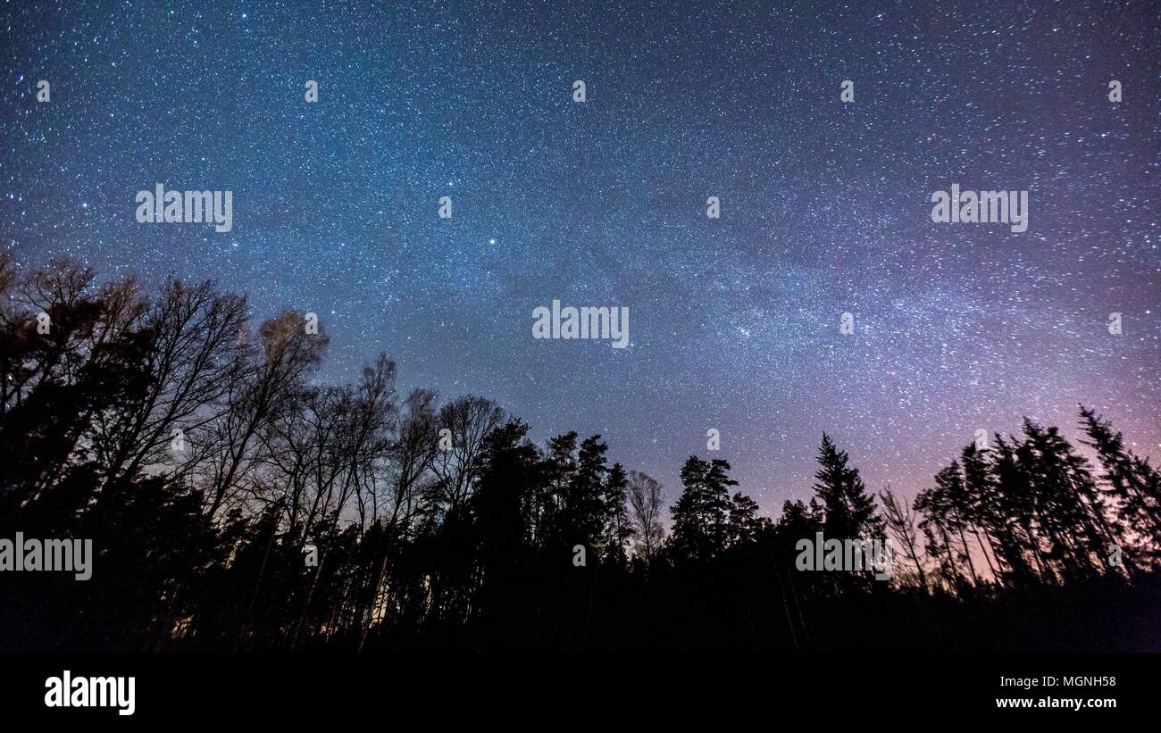 Night starry sky with milky way over forest in springtime Stock Photo ...