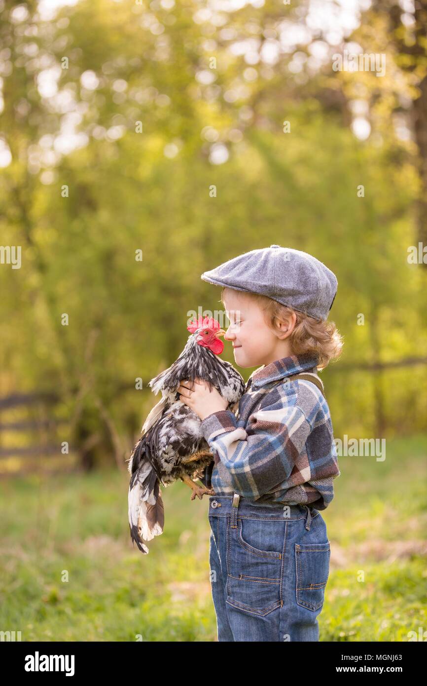 Small boy portrait with chicken. Caucasian curly haired boy in hat ...