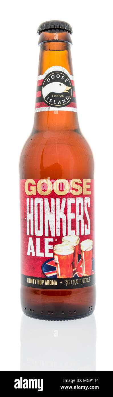 Amber malt isolated hi-res stock photography and images - Alamy