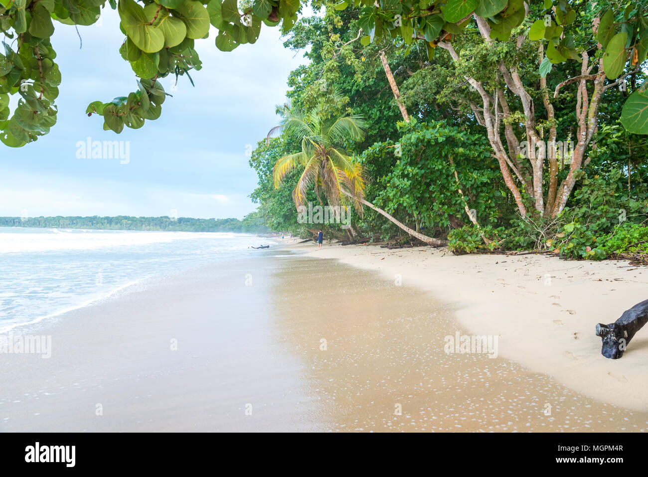 Cahuita - Nationalpark with beautiful beaches and rainforest in Costa ...