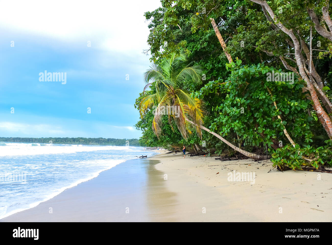 Cahuita - Nationalpark with beautiful beaches and rainforest in Costa ...