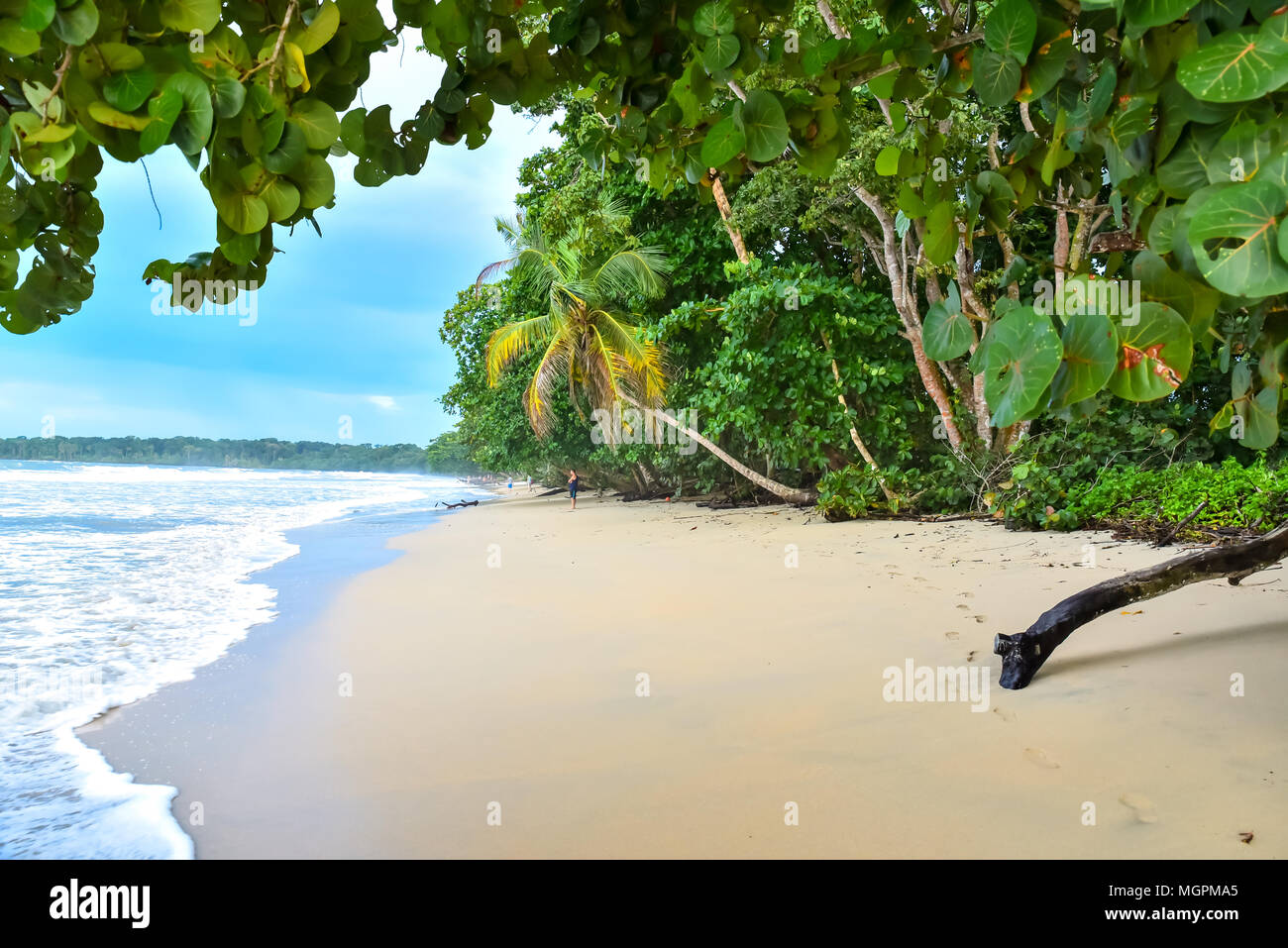 Cahuita - Nationalpark with beautiful beaches and rainforest in Costa ...