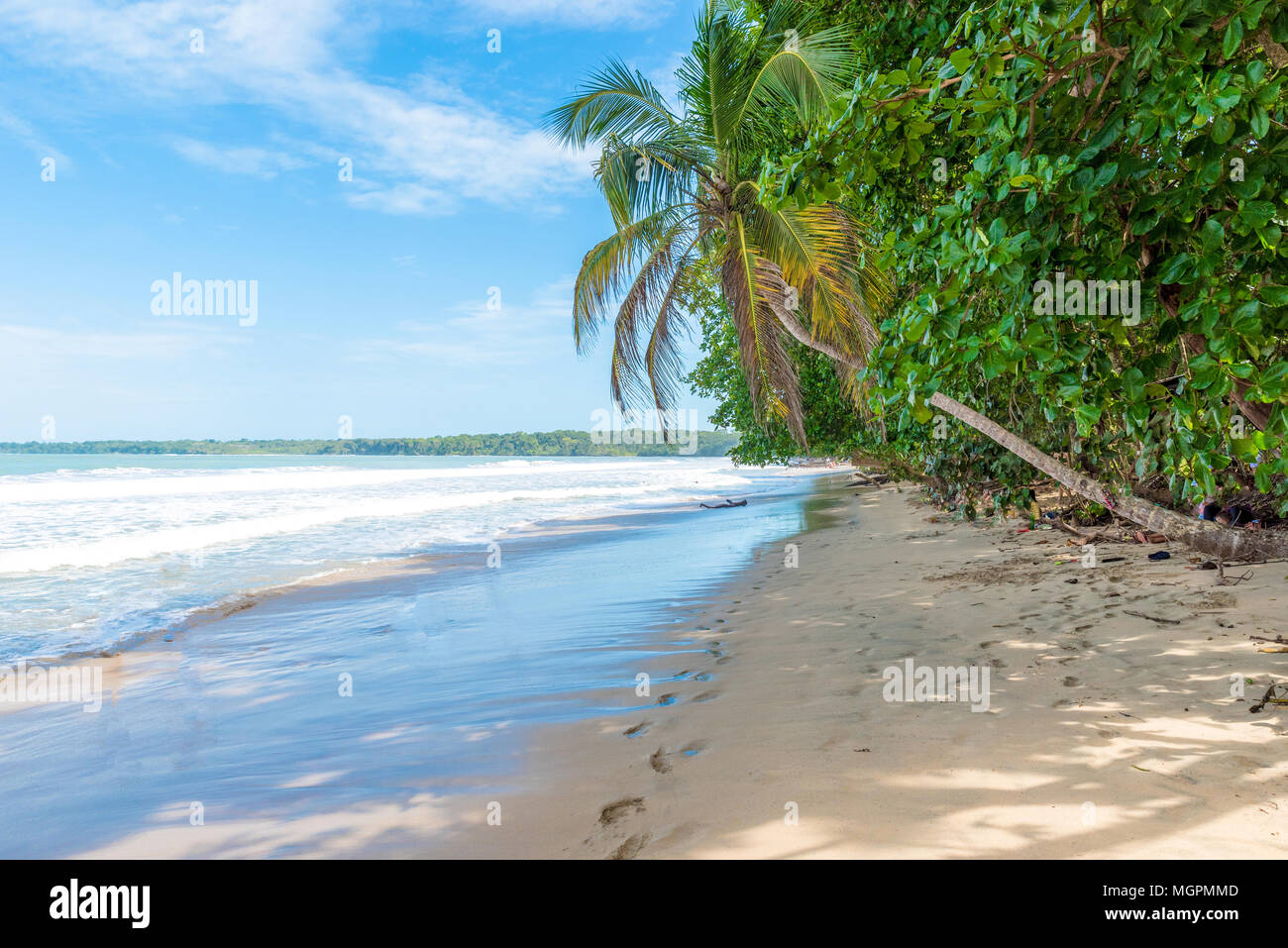 Nationalpark cahuita hi-res stock photography and images - Alamy
