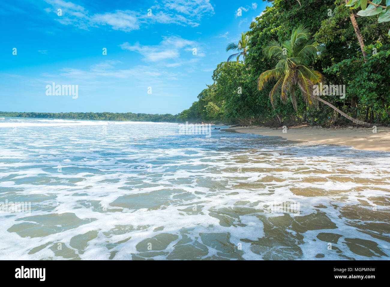 Cahuita - Nationalpark with beautiful beaches and rainforest in Costa ...