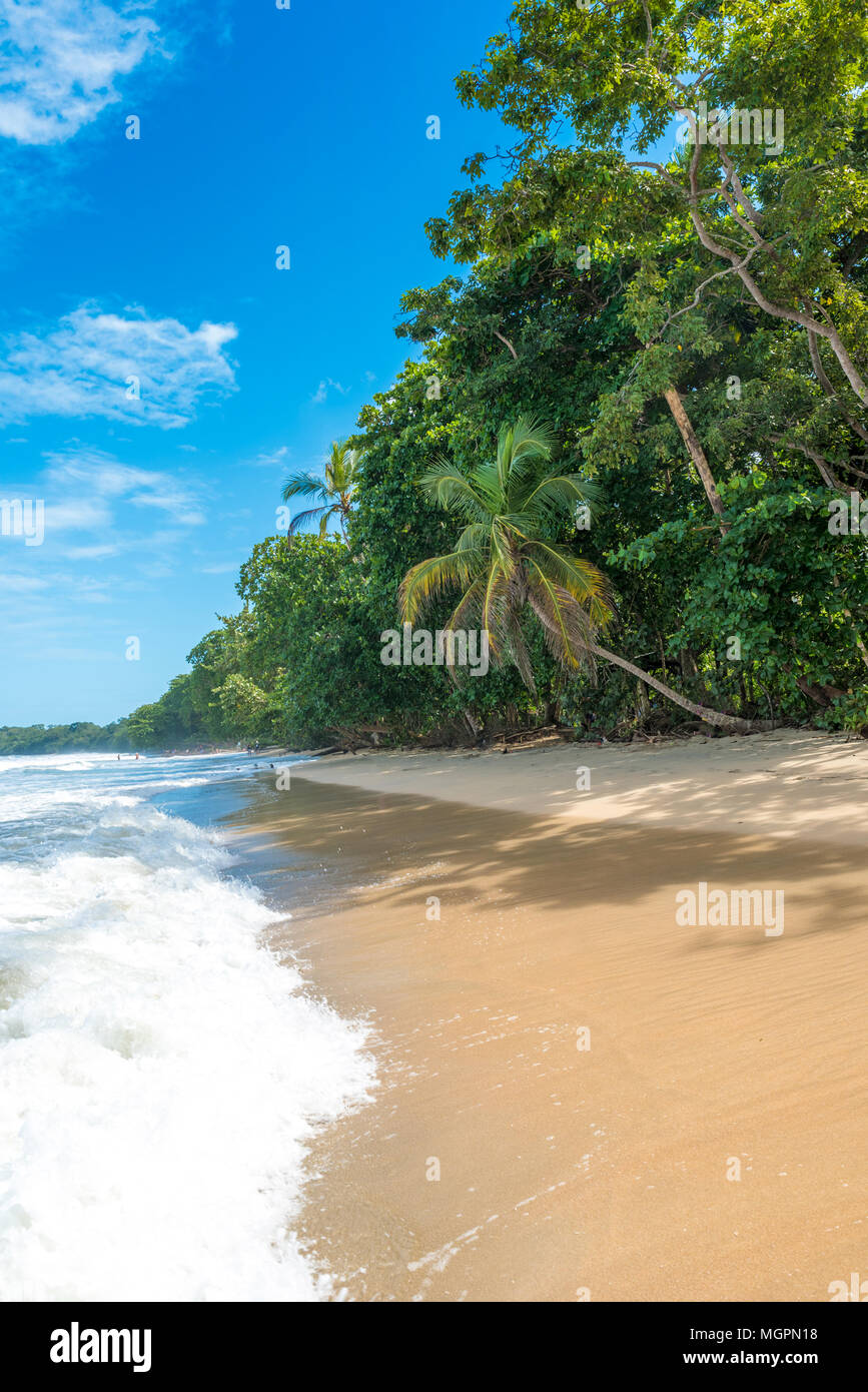 Cahuita - Nationalpark with beautiful beaches and rainforest in Costa ...
