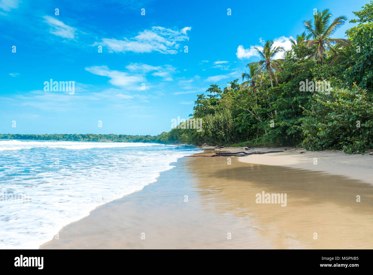 Cahuita - Nationalpark with beautiful beaches and rainforest in Costa ...
