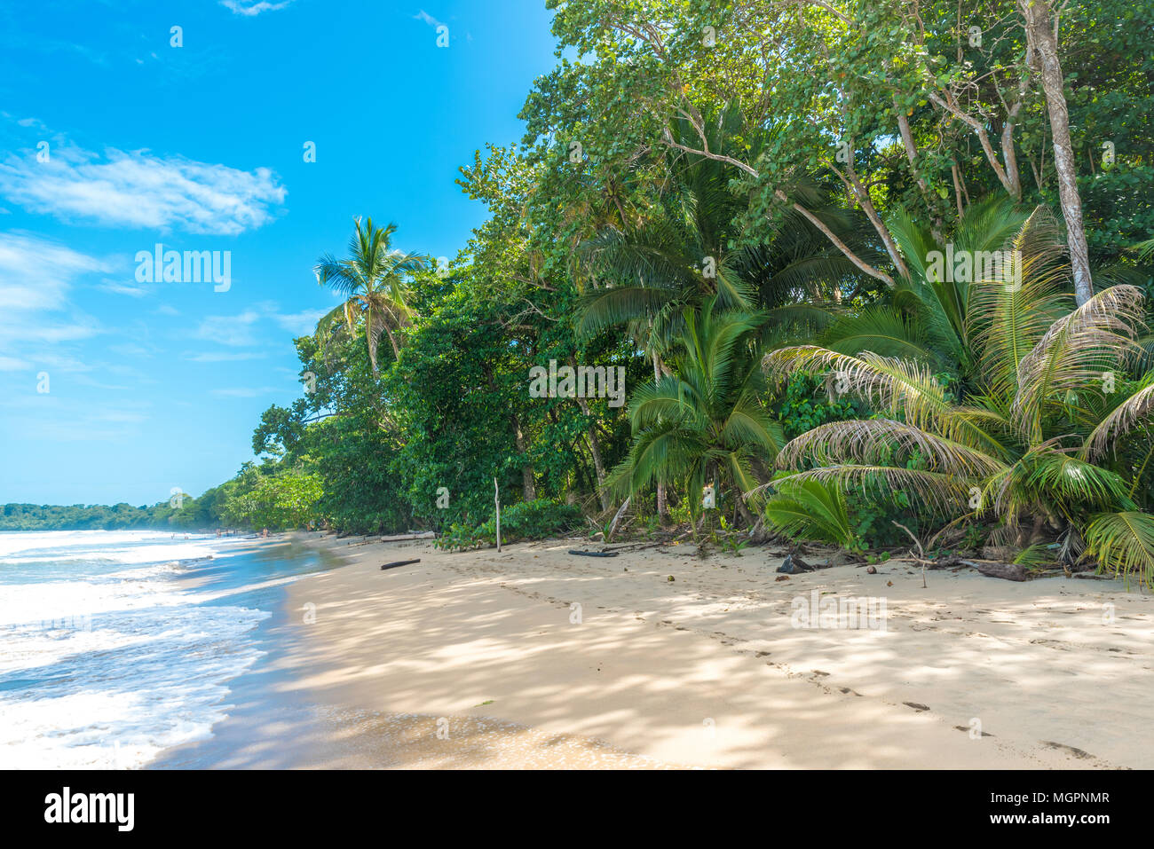 Cahuita - Nationalpark with beautiful beaches and rainforest in Costa ...