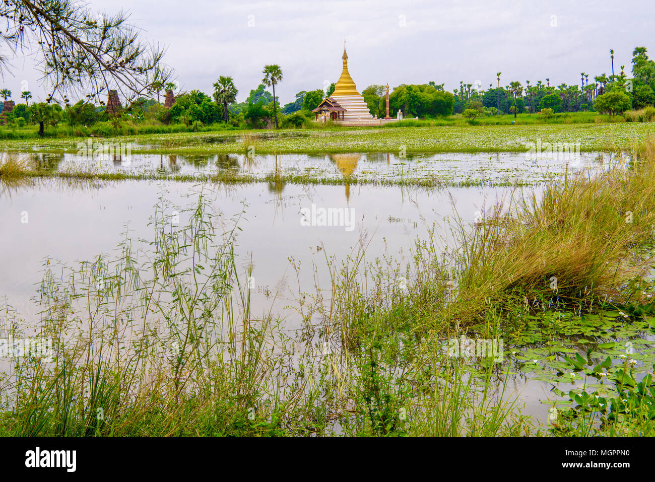 Nature of Myanmar Stock Photo - Alamy