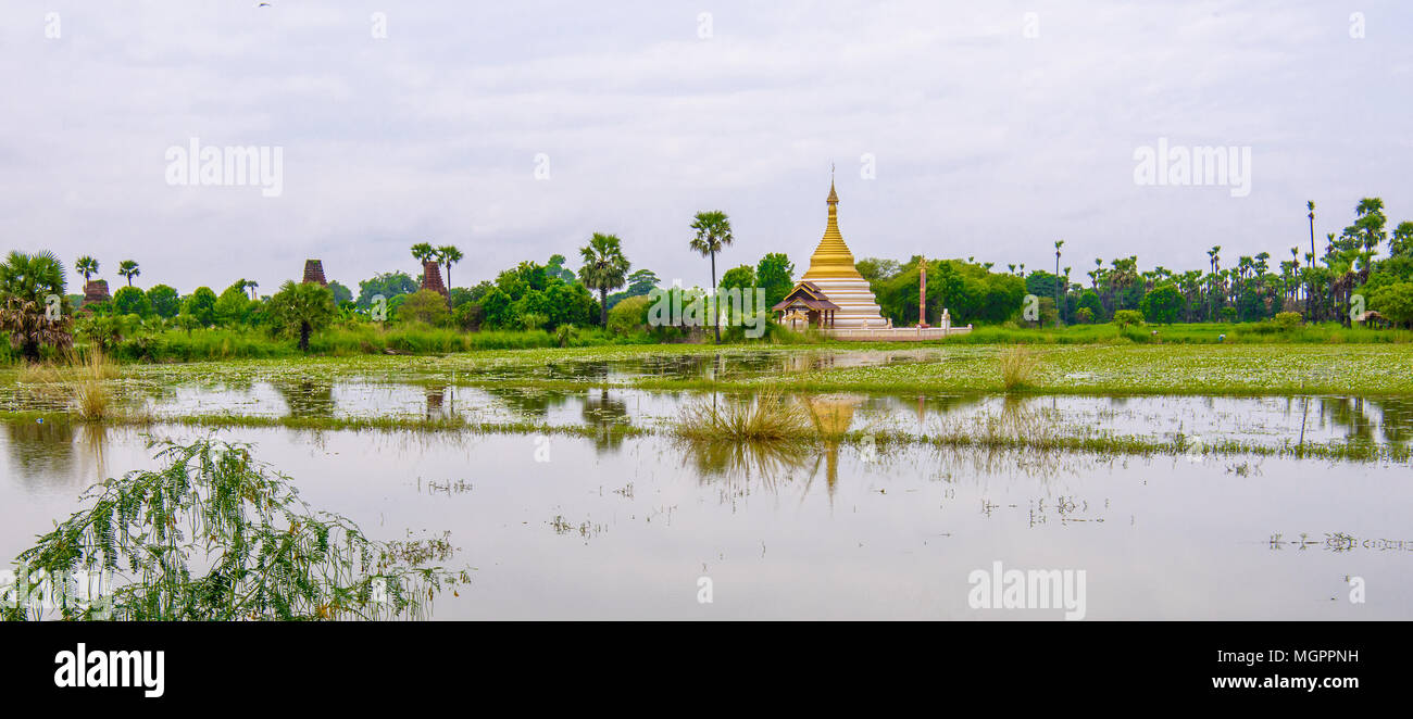 Nature of Myanmar Stock Photo - Alamy