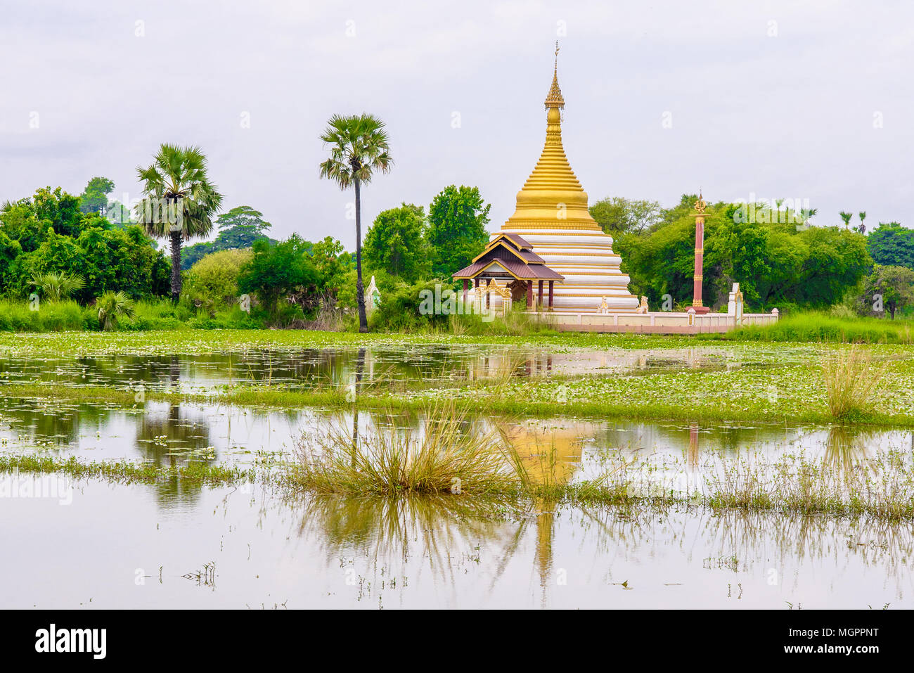 Nature of Myanmar Stock Photo - Alamy