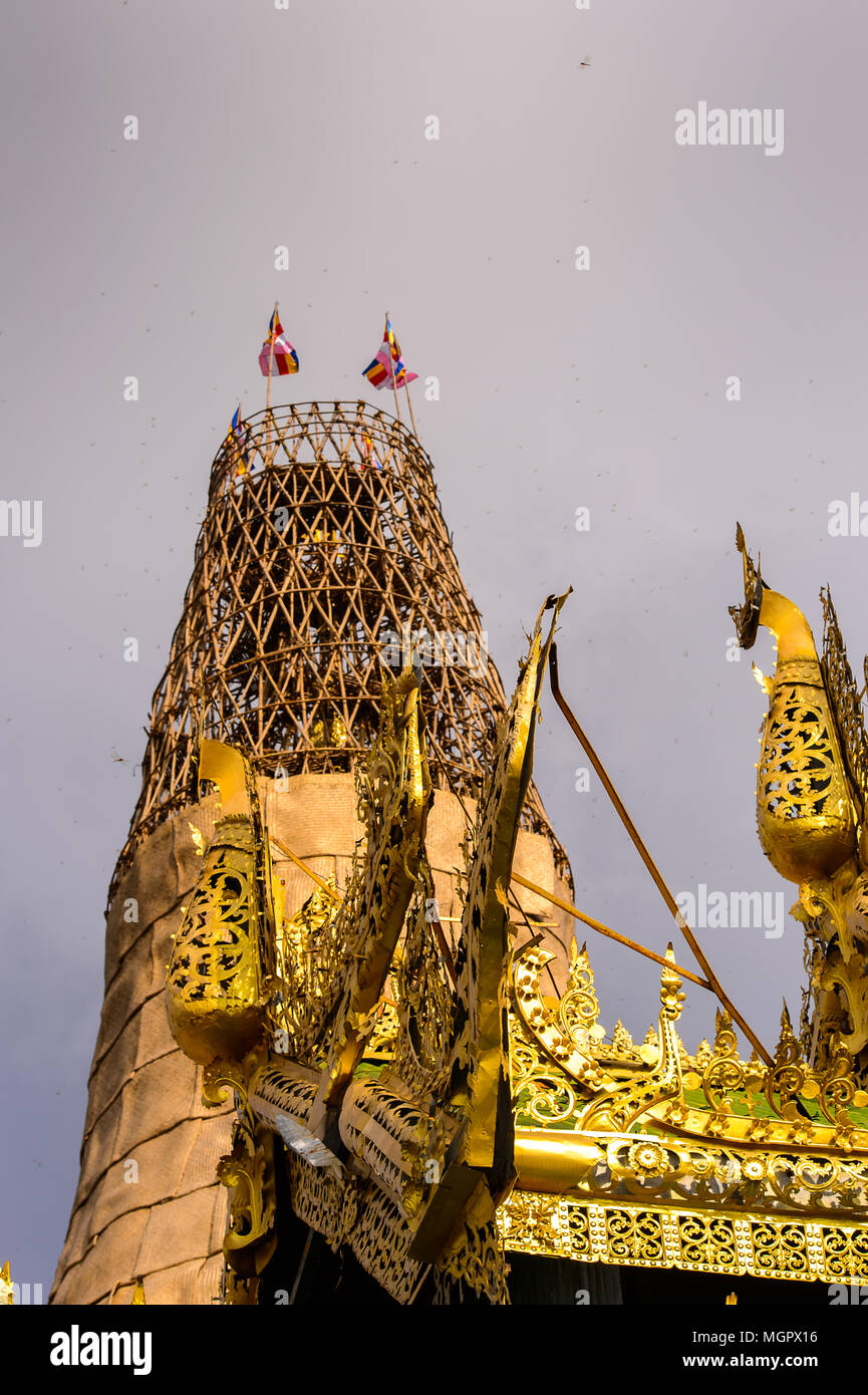 Shin sone hi-res stock photography and images - Alamy