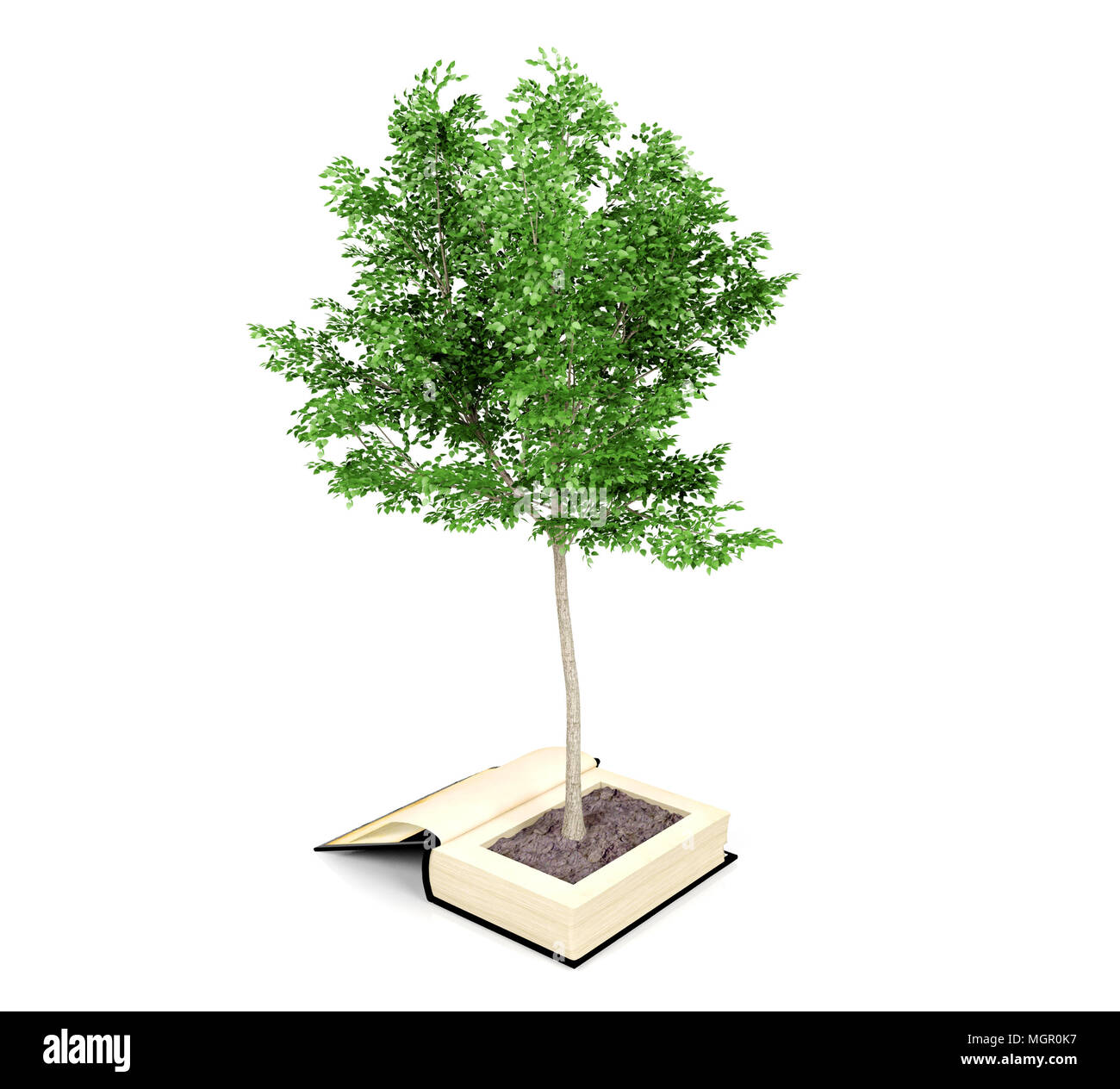 Tree growing from the old book. Reading develops imagination. Knowledge ...
