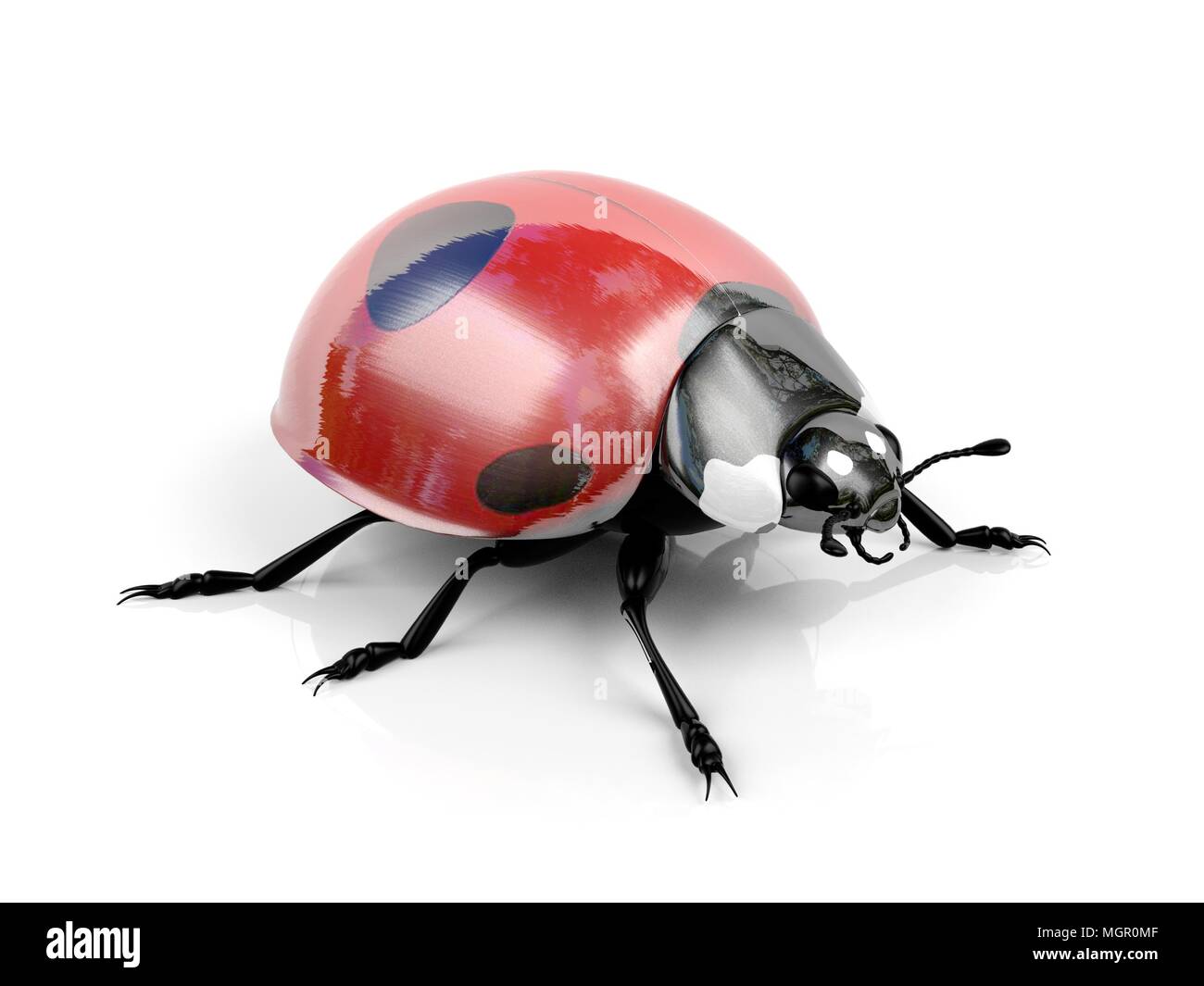3D ladybug isolated on white background Stock Photo - Alamy