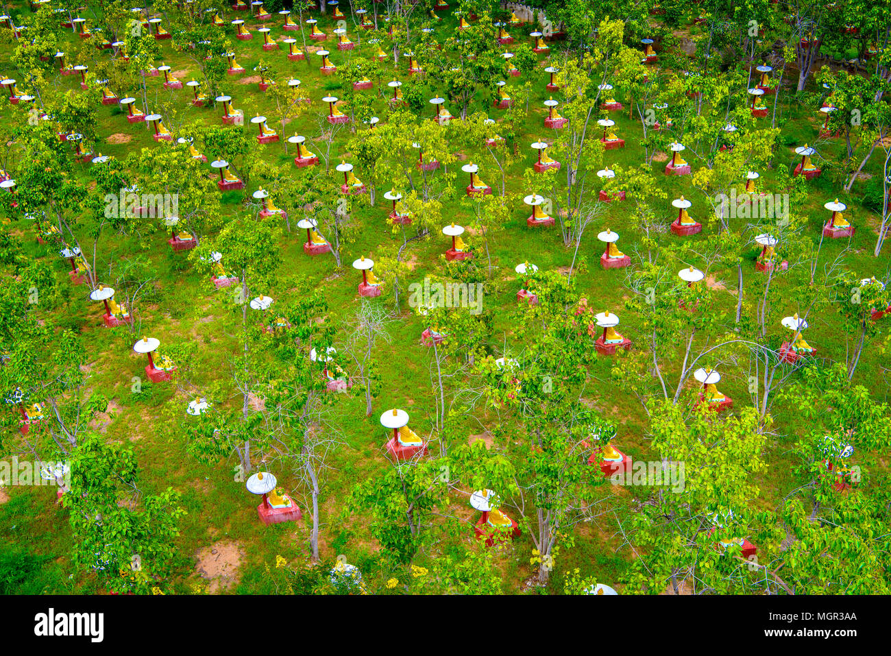 Maha Bodhi Ta Htaung ('a thousand great Bo trees'), a famous Buddhist ...