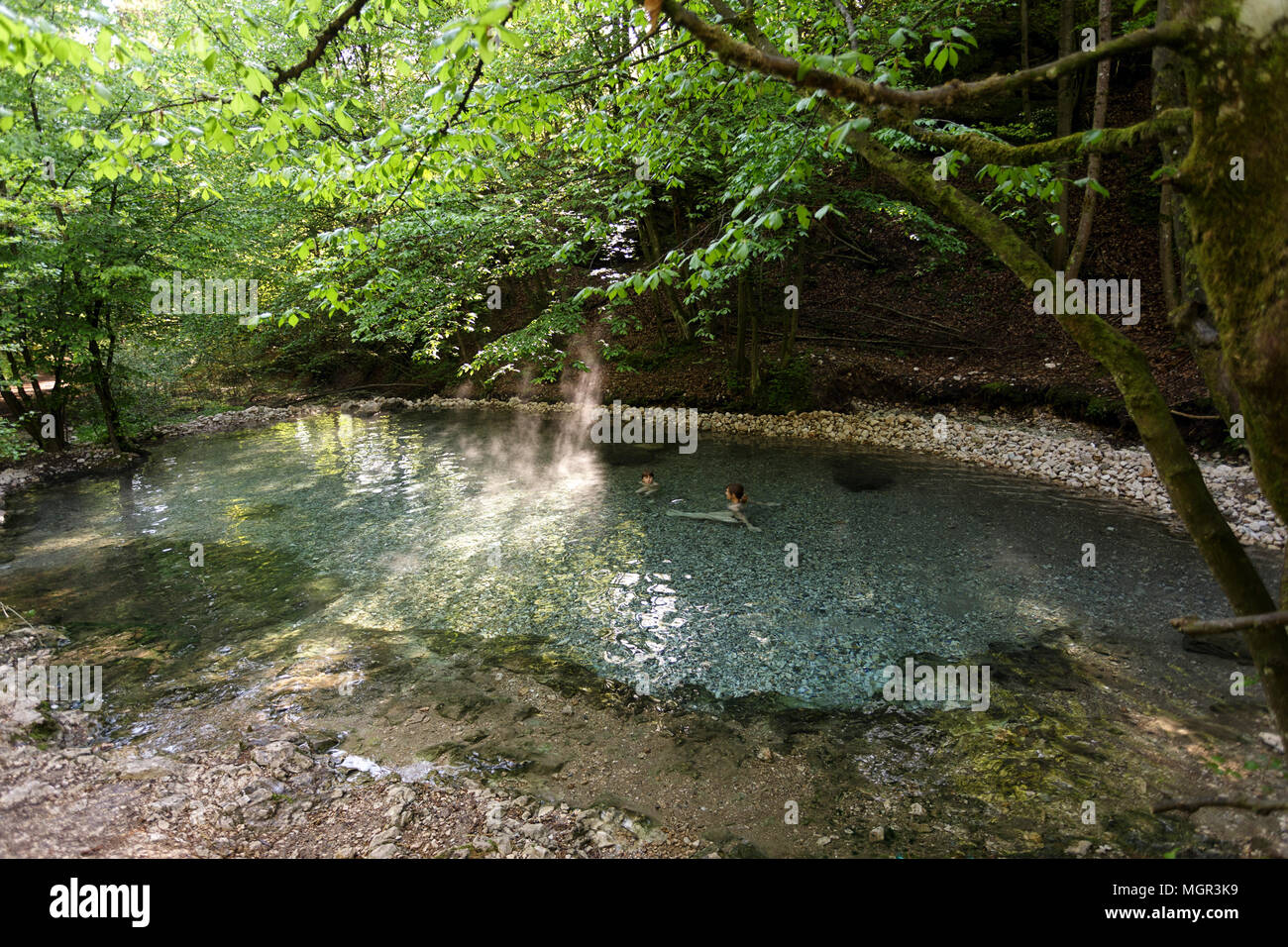 Forest bathe austria hi-res stock photography and images - Alamy