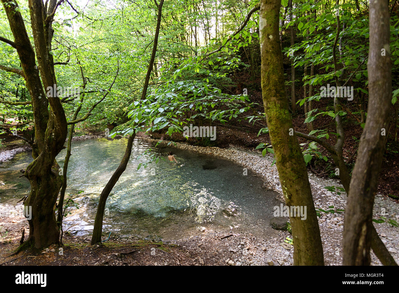 Young boy bathing in natural hot spring pool in the forest, Austria ...