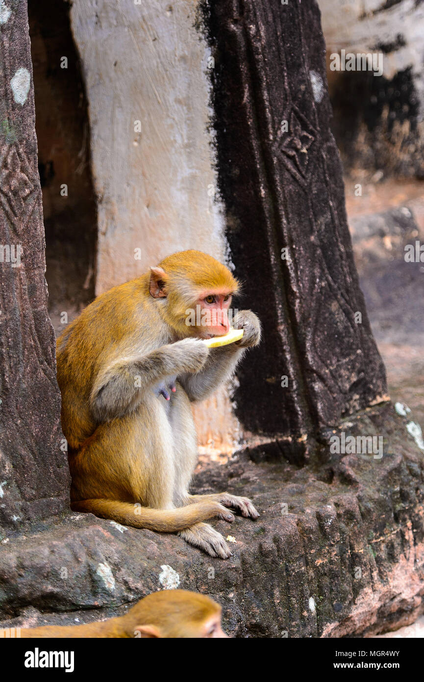 Burmese ancient archaeology hi-res stock photography and images - Alamy
