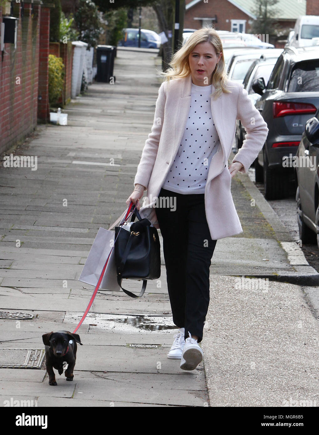 Pregnant Ali Astall heading to her office with her dog Featuring: Ali ...