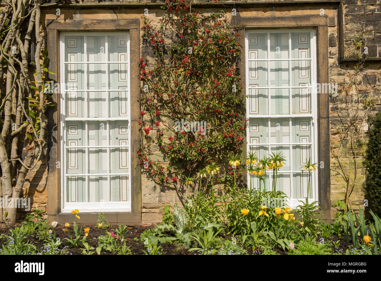 Sunny garden scene with flowering plants and vines growing around two ...