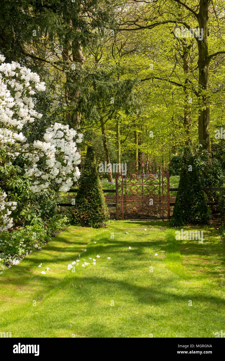 Sunny garden scene with flowering plants and vines growing around two ...