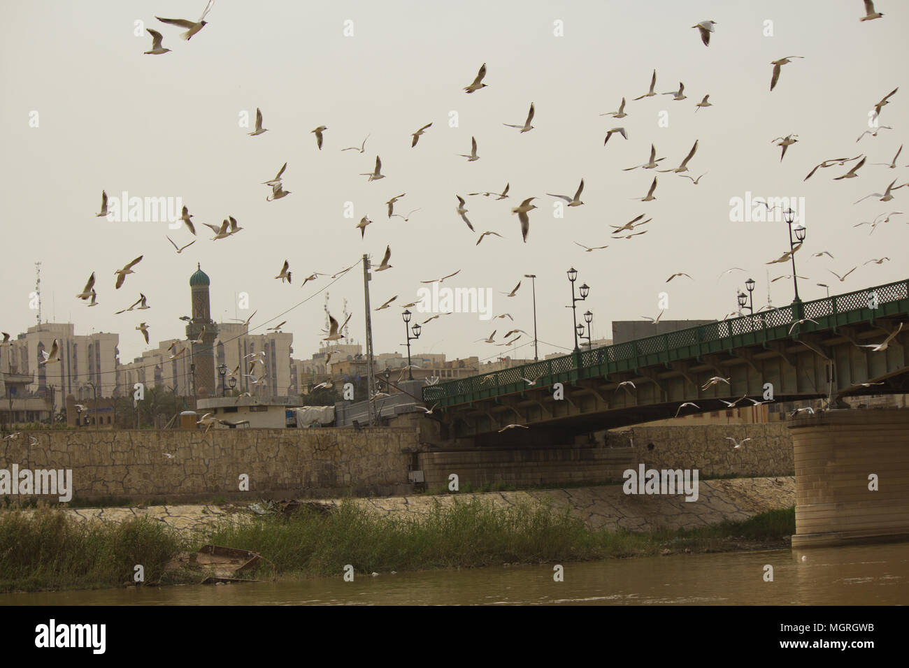 picture for tigris river in Baghdad city capital of Iraq country, and ...