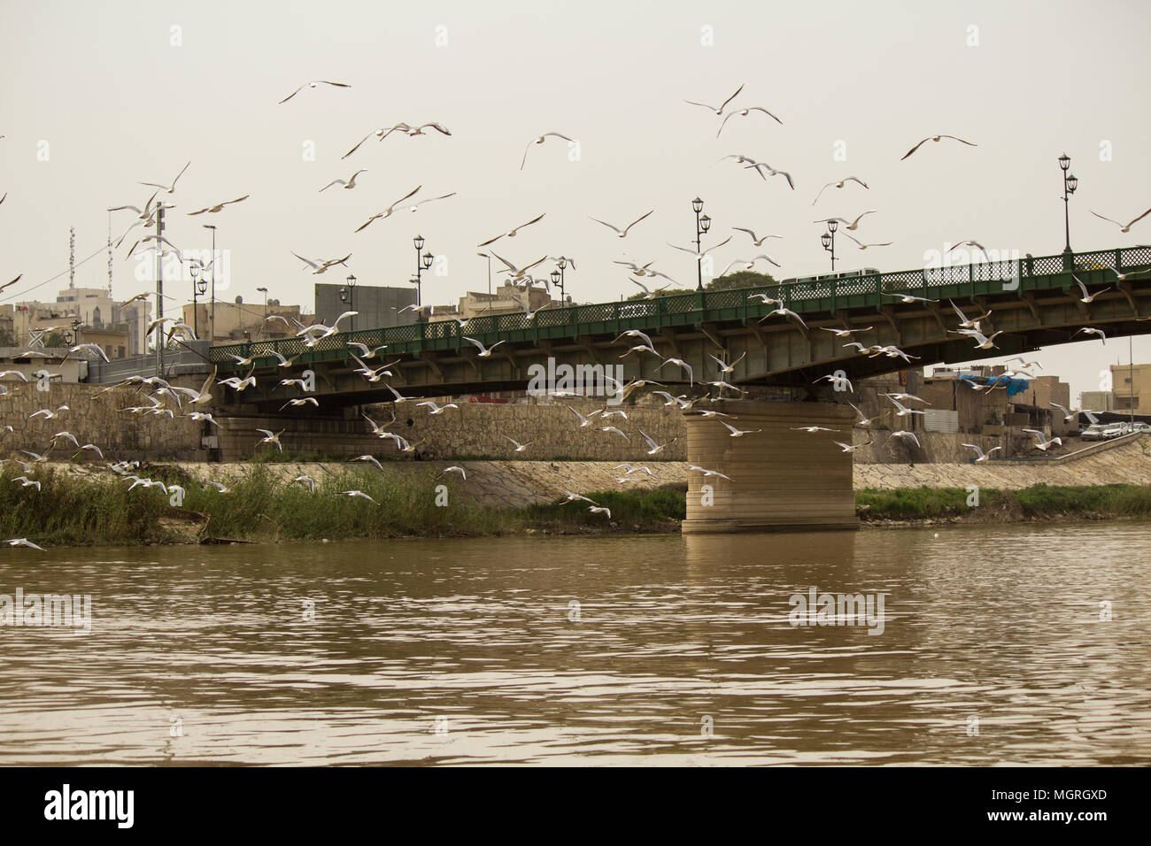 picture for tigris river in Baghdad city capital of Iraq country, and ...