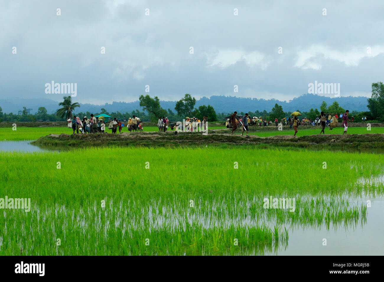Rohingya refugees entered Bangladesh through border points in Ukhia ...