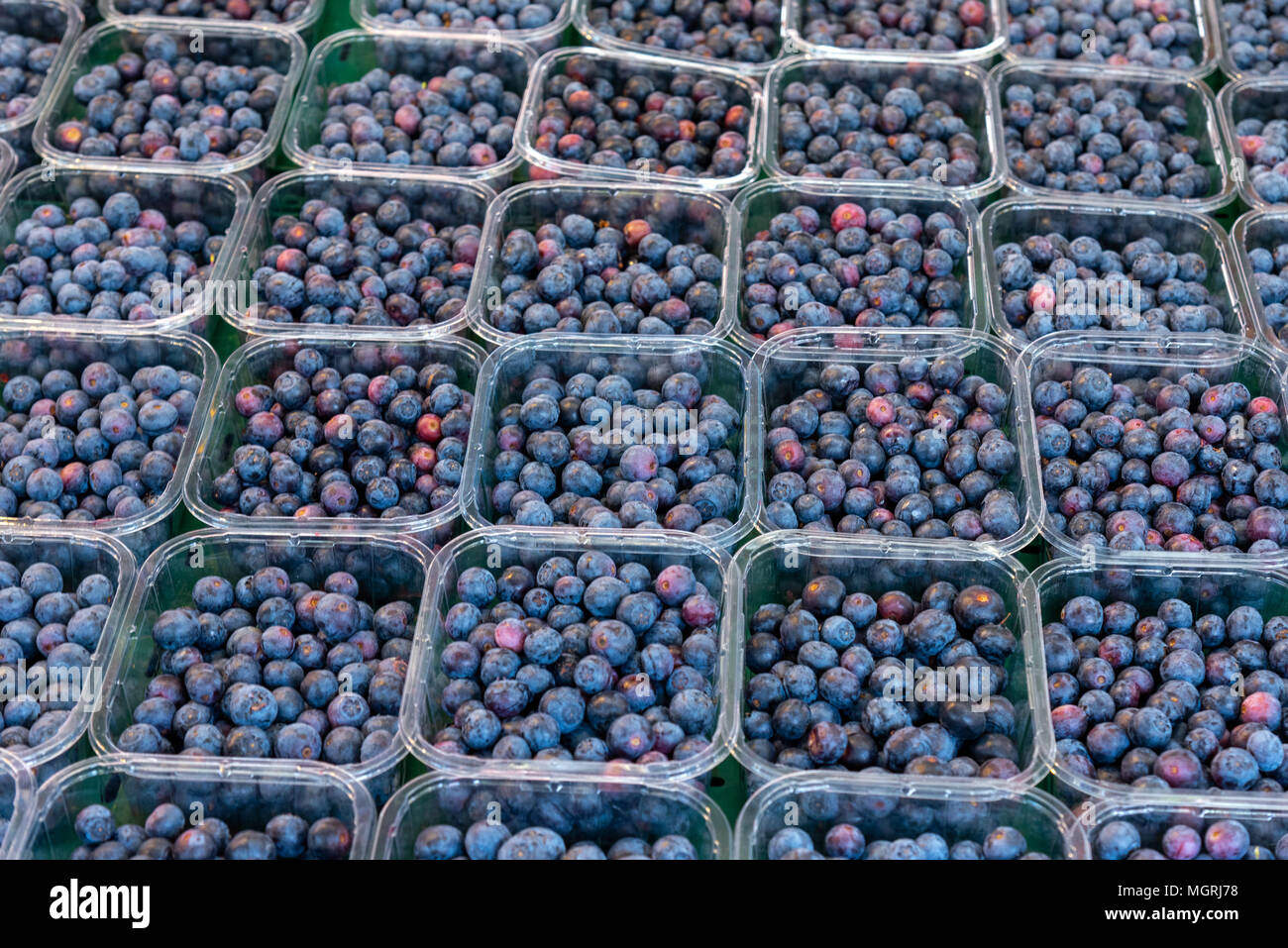Fresh blue huckleberries for sale at a market Stock Photo - Alamy
