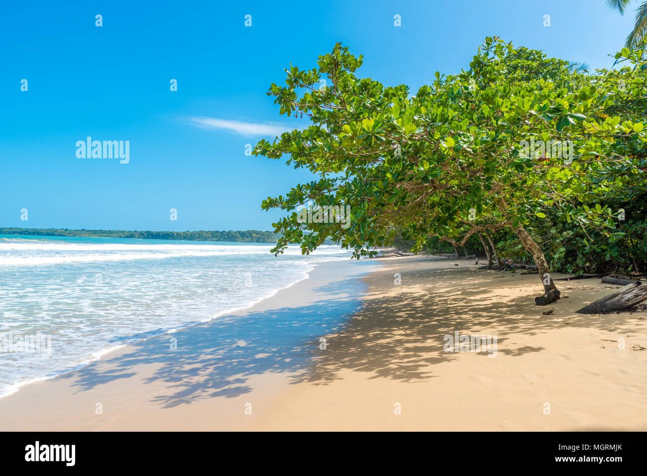 Cahuita - Nationalpark with beautiful beaches and rainforest in Costa ...