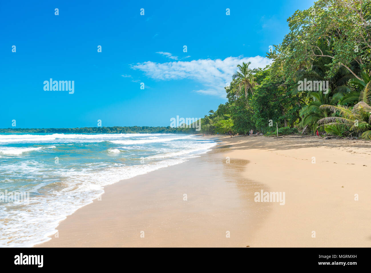 Cahuita - Nationalpark with beautiful beaches and rainforest in Costa ...
