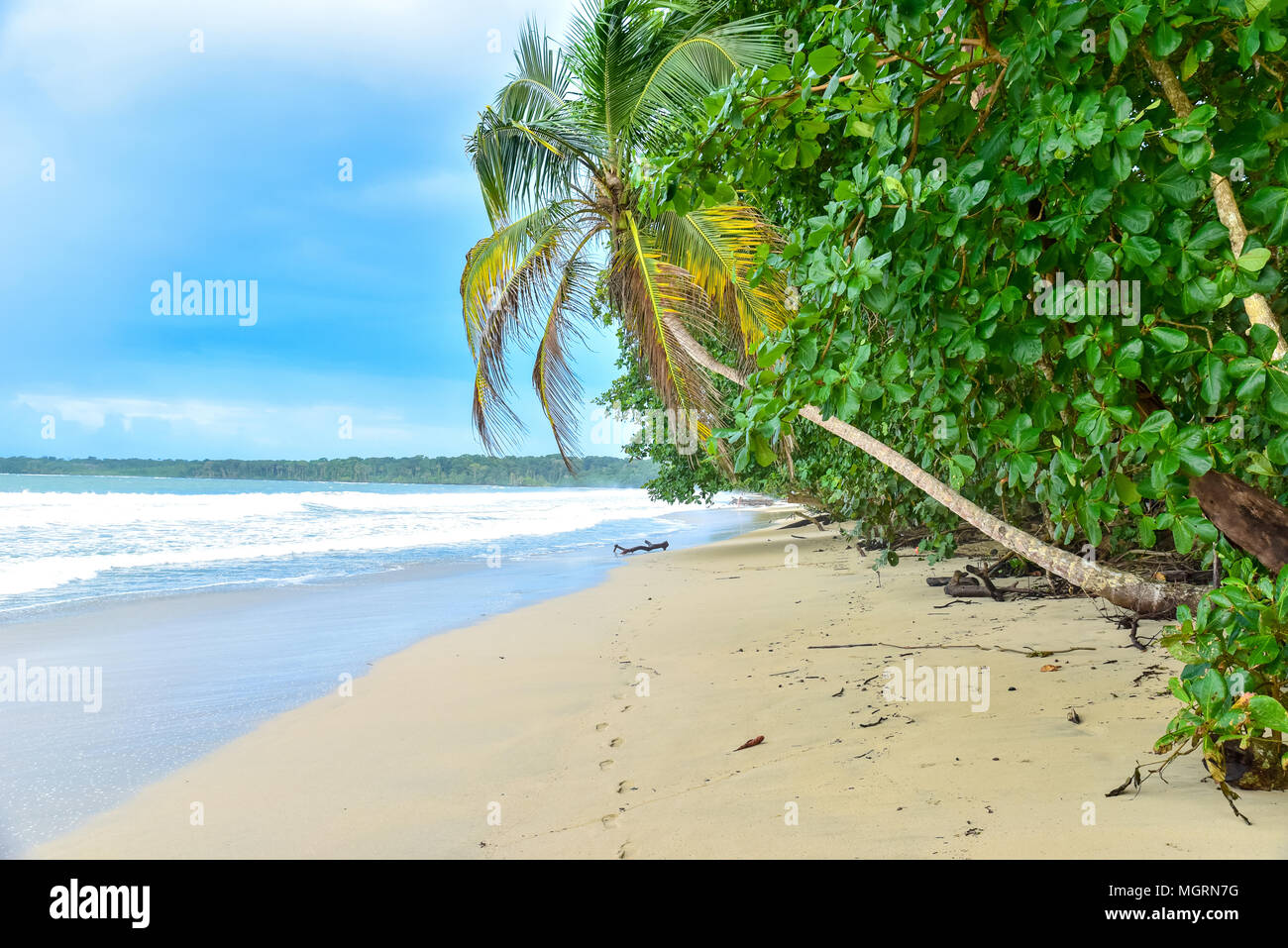 Cahuita - Nationalpark with beautiful beaches and rainforest in Costa ...
