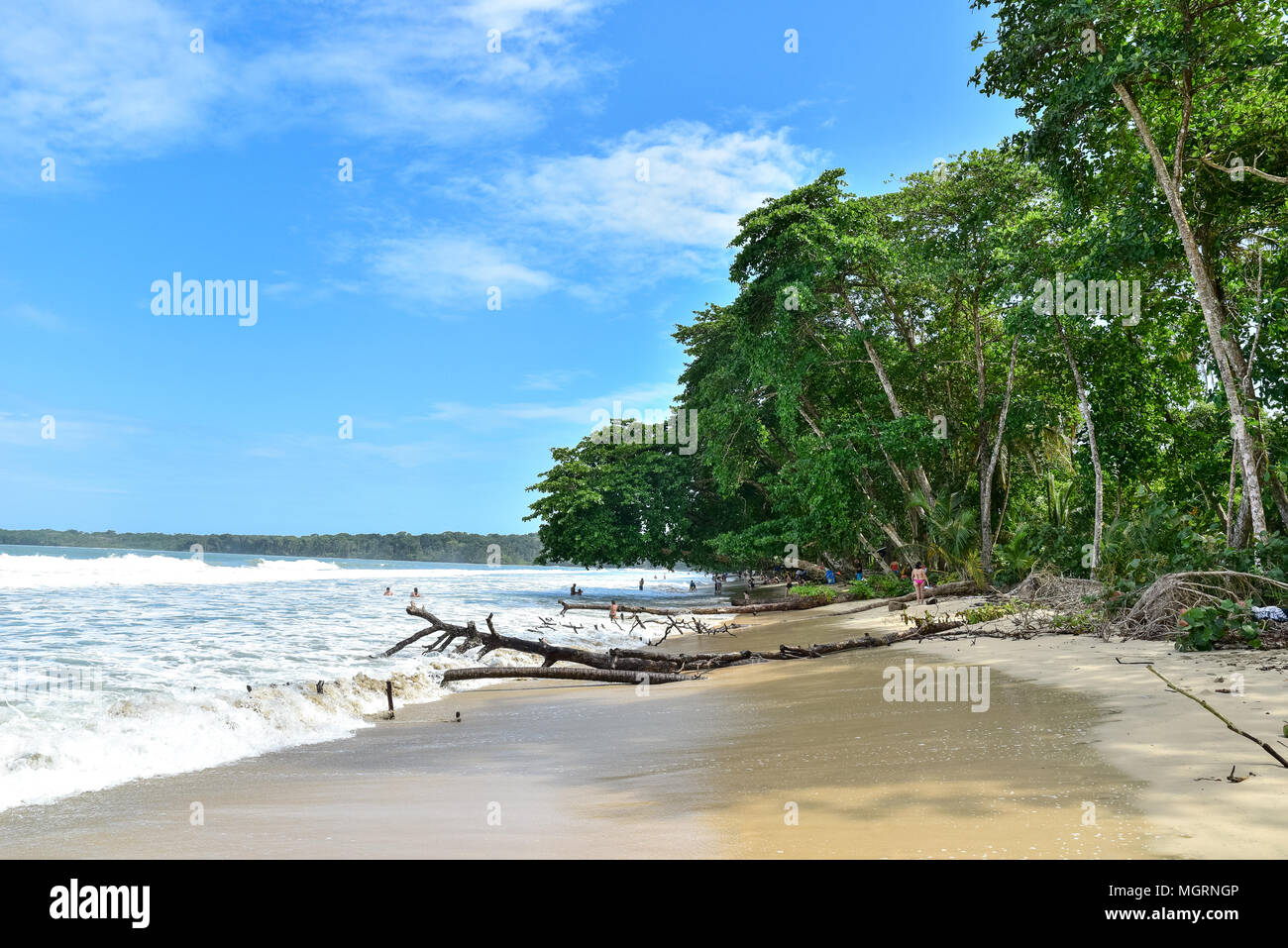 Beaches in cahuita national park hi-res stock photography and images ...