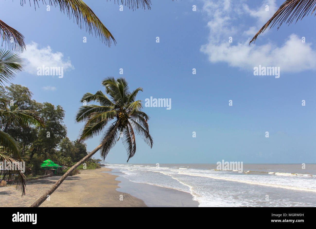 A view of the famous beach of Cavelossim beach in India Stock Photo - Alamy