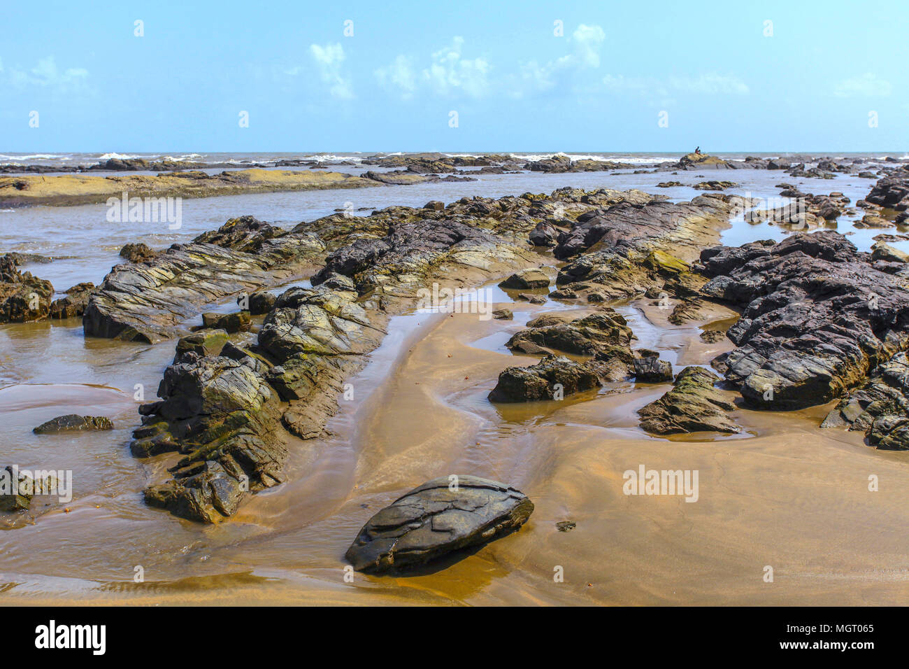 A view of the beach from the famous beaches of Morjim, India Stock ...