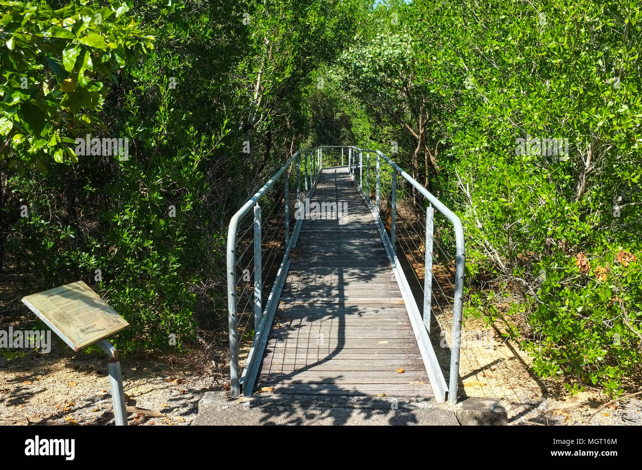 The Mangrove Boardwalk at East Point in Darwin, Northern Territory ...