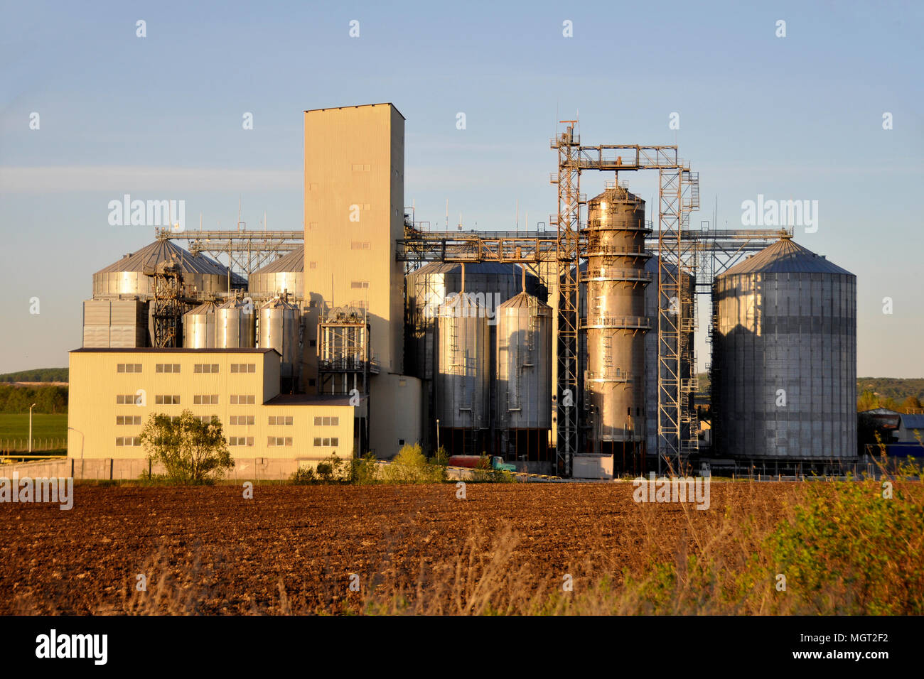 Plant for the drying and storage of grain Stock Photo - Alamy