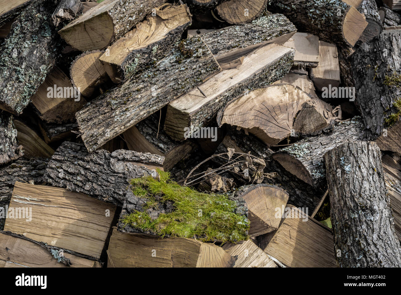 Cuted Wood High Resolution Stock Photography and Images - Alamy