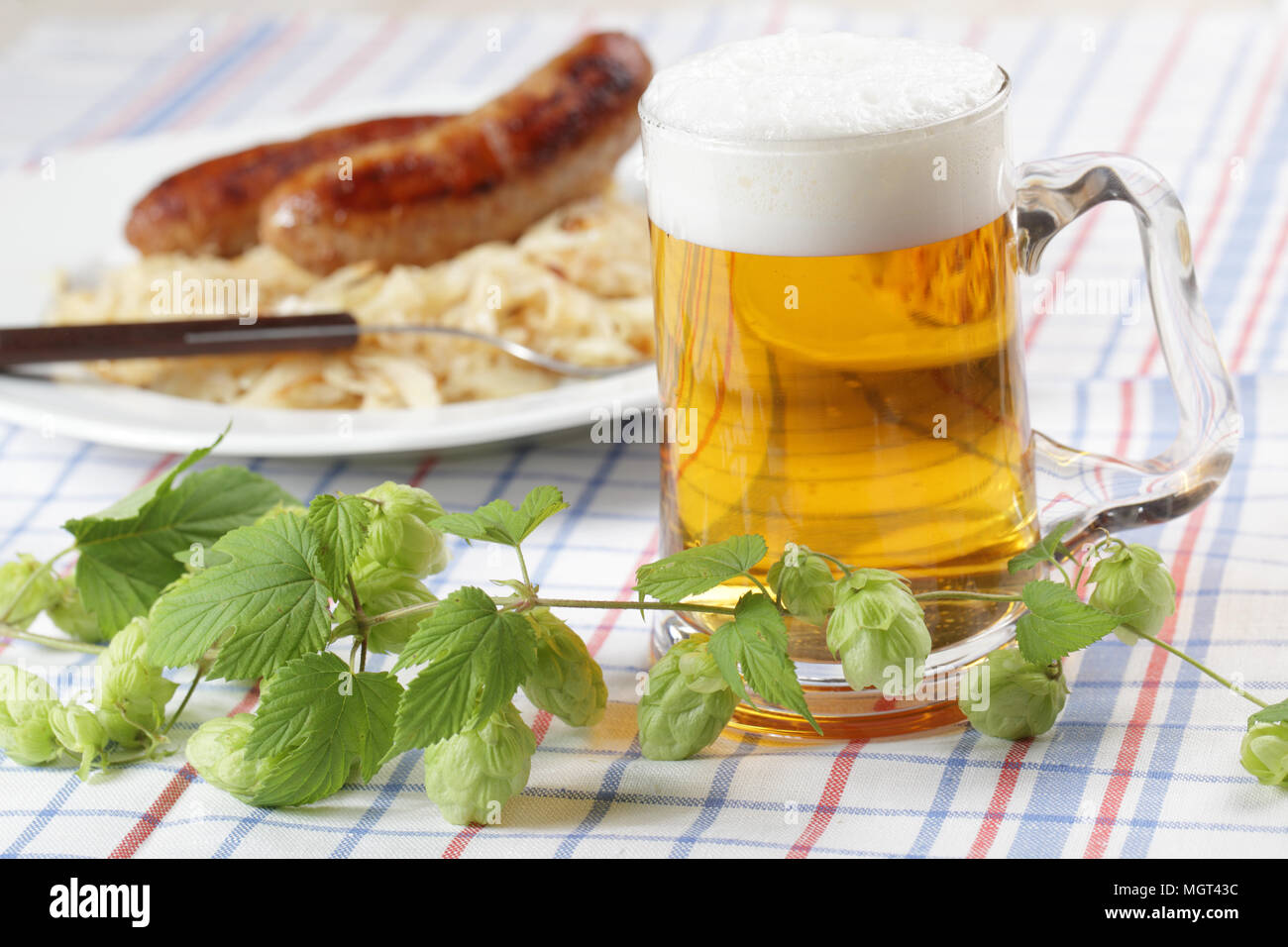 Roasted sausage with braised cabbage and beer Stock Photo - Alamy