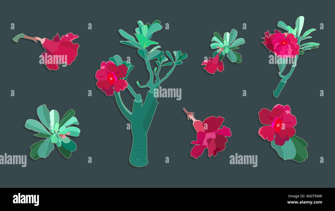 Rose elements hi-res stock photography and images - Alamy