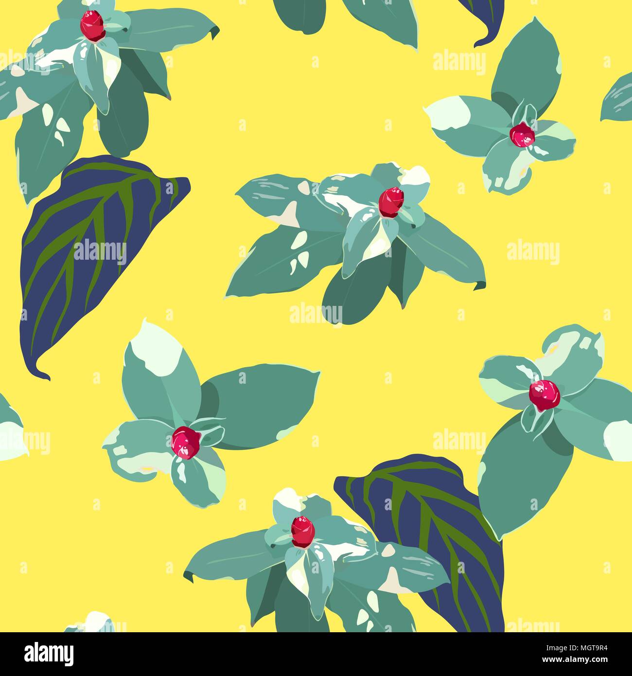 Indian head ginger flower Stock Vector Images - Alamy