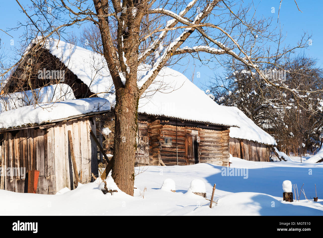 old abandoned typical russian rural house in sunny winter day in little ...