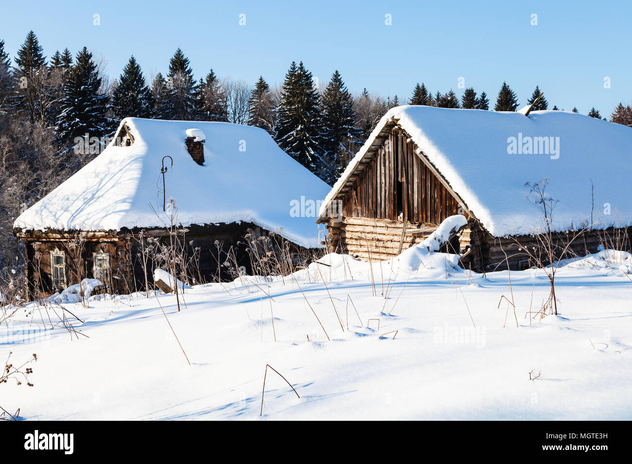 old abandoned typical russian rural house at the edge of forest in ...