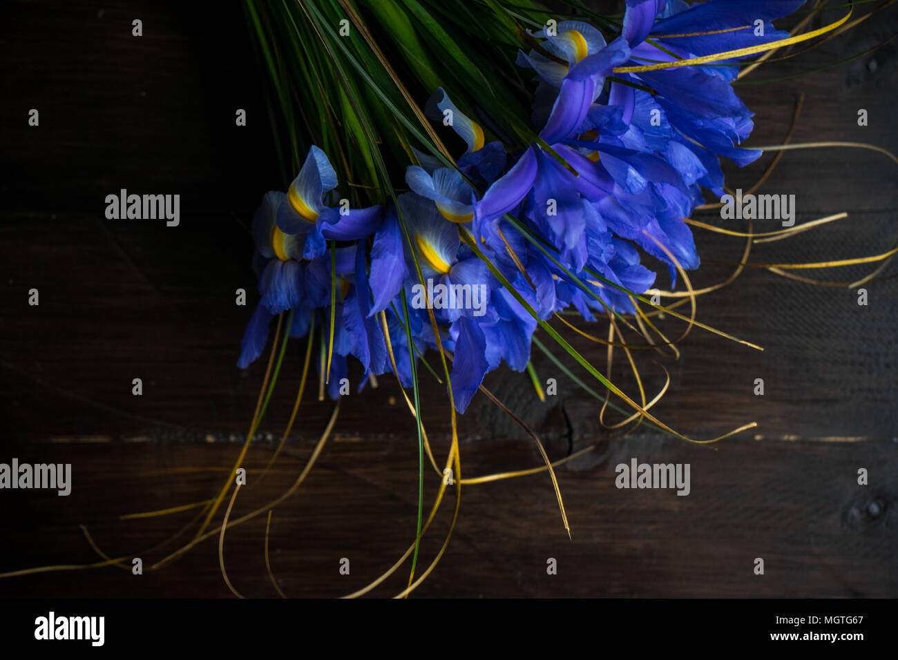 Blue iris flowers in a bunch Stock Photo - Alamy