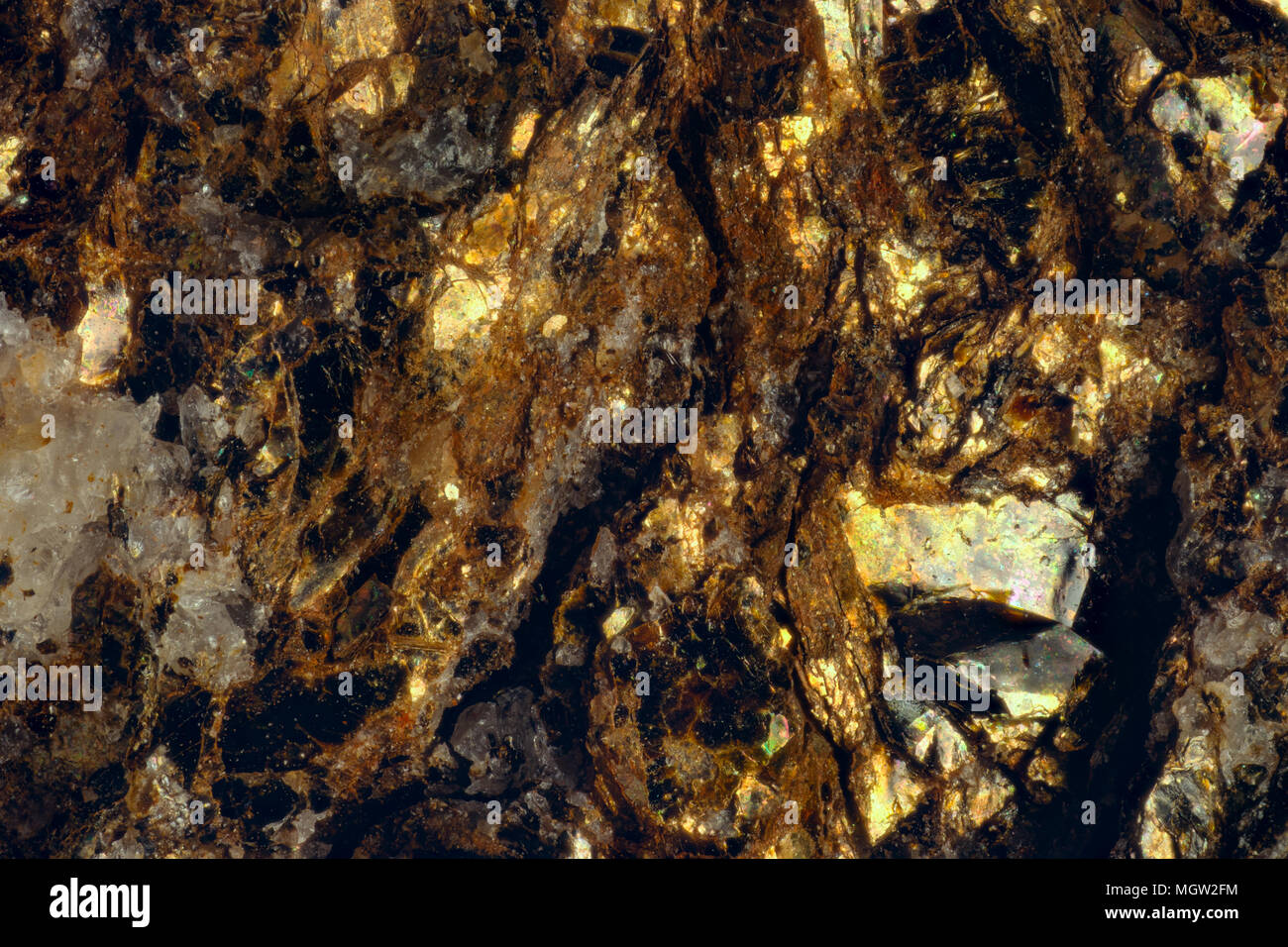 Nodule texture hi-res stock photography and images - Alamy