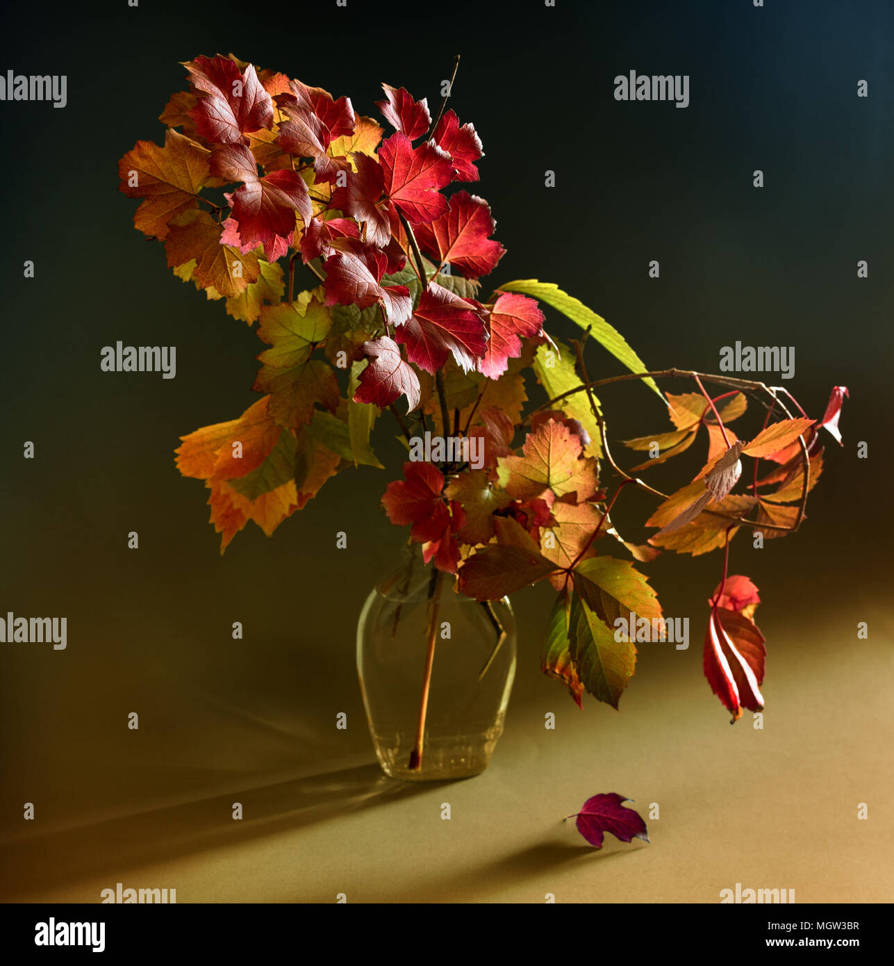 Still life with colors hi-res stock photography and images - Alamy