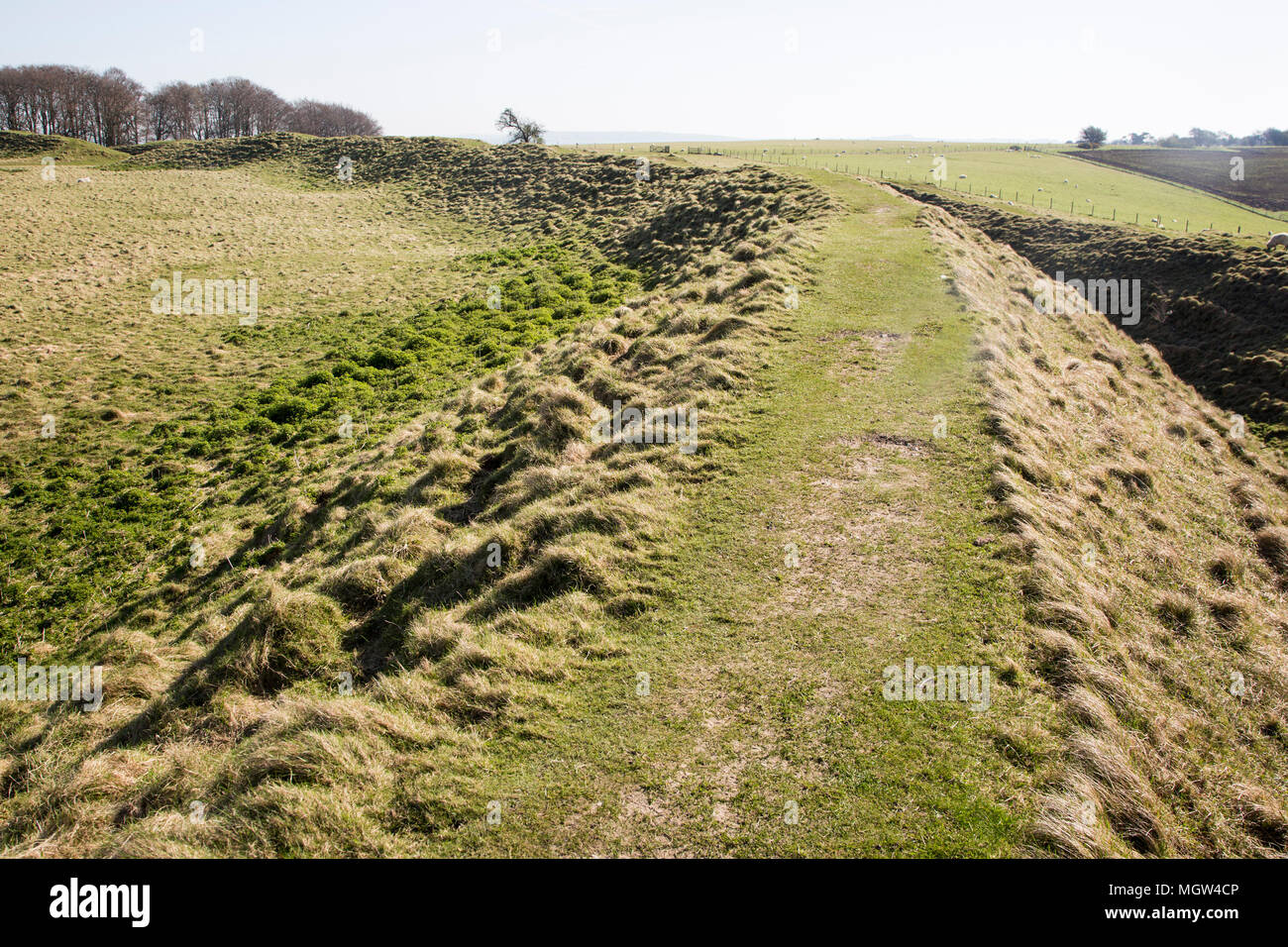Defensive ditch and rampart at Barbury Castle Country Park, Iron Age ...