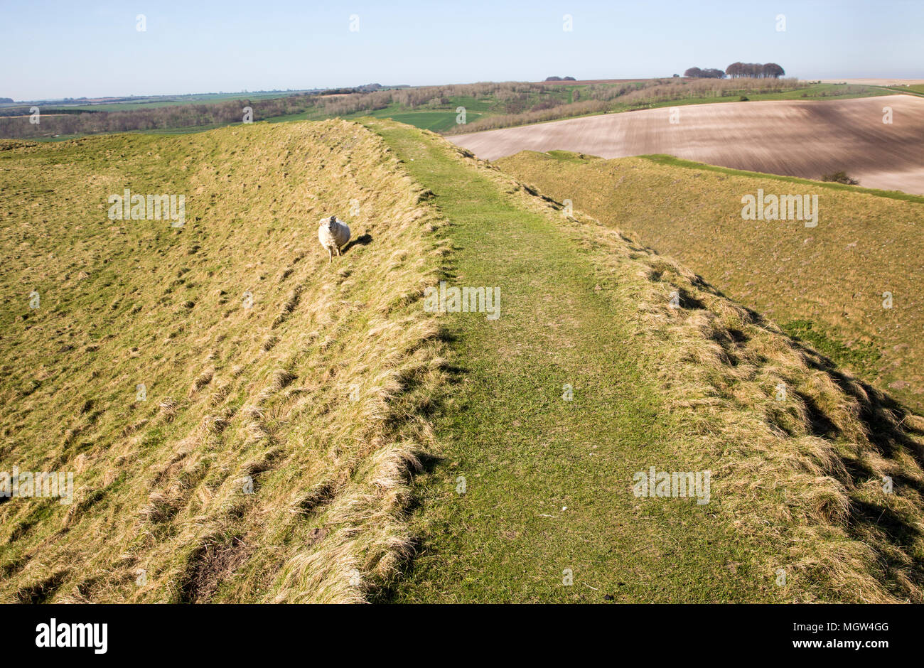 Barbury castle hi-res stock photography and images - Alamy