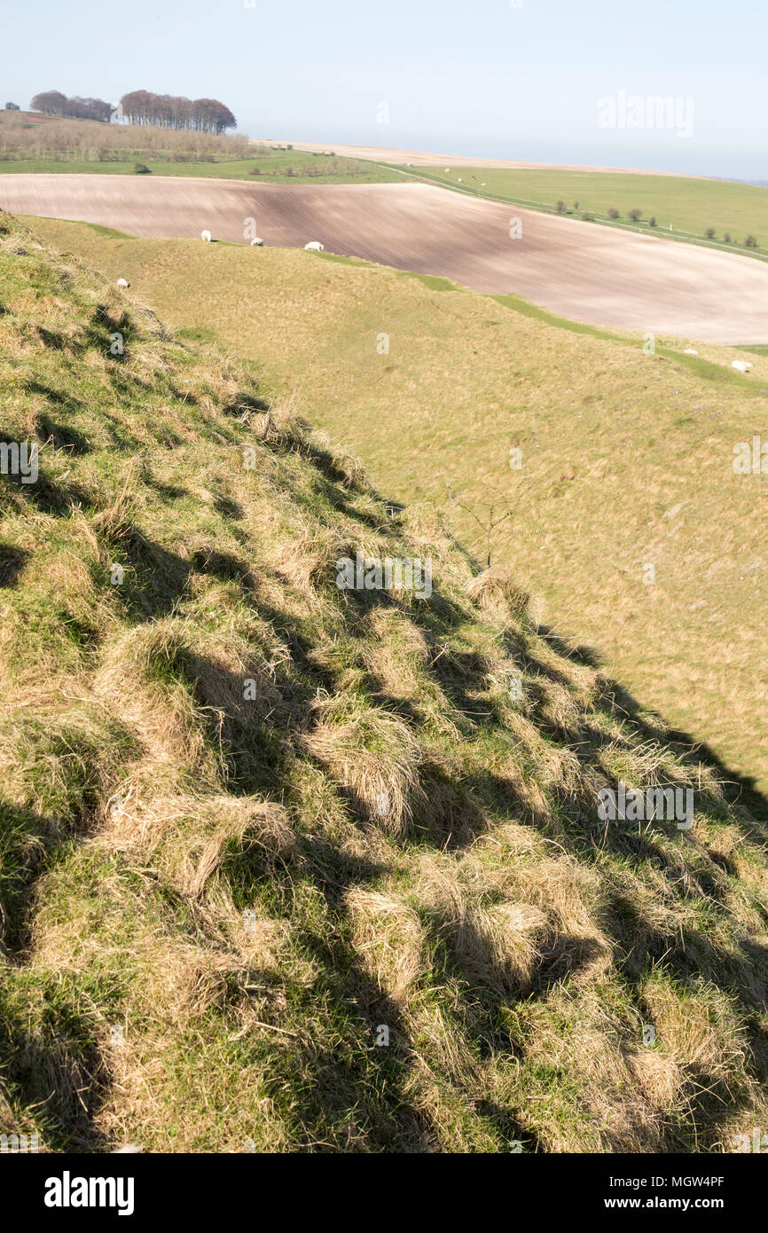Defensive ditch and rampart at Barbury Castle Country Park, Iron Age ...
